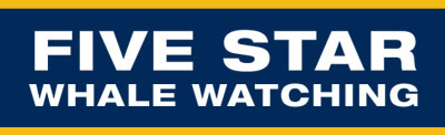 Five Star Whale Watching - Tourism Industry Association of BC